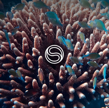 Old SodaStream Models – SodaStream Canada